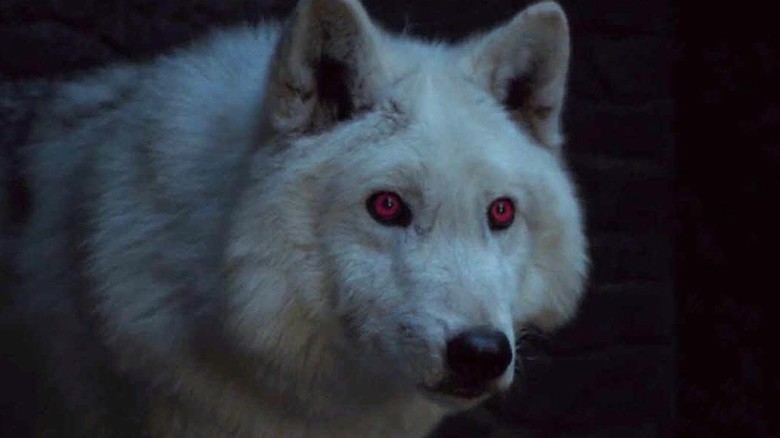 Why the direwolves are so important to Game of Thrones
